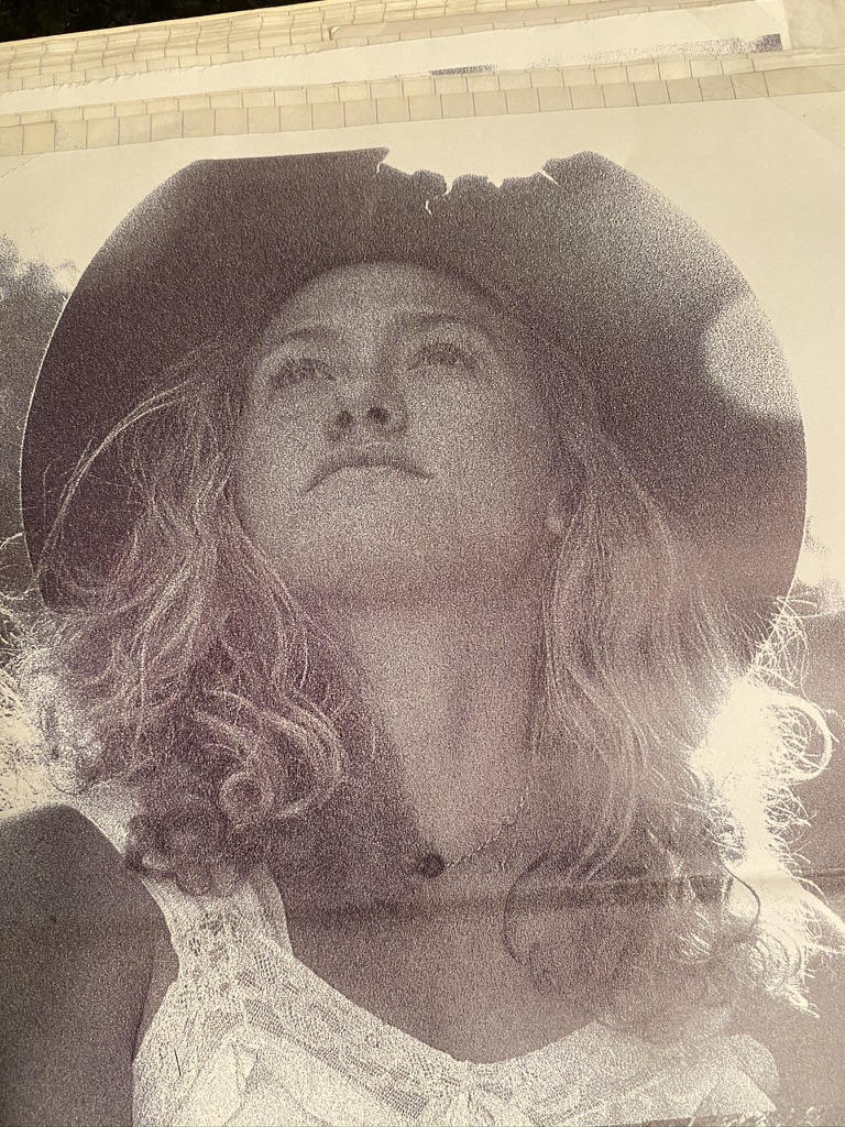 Music – Sally Taylor